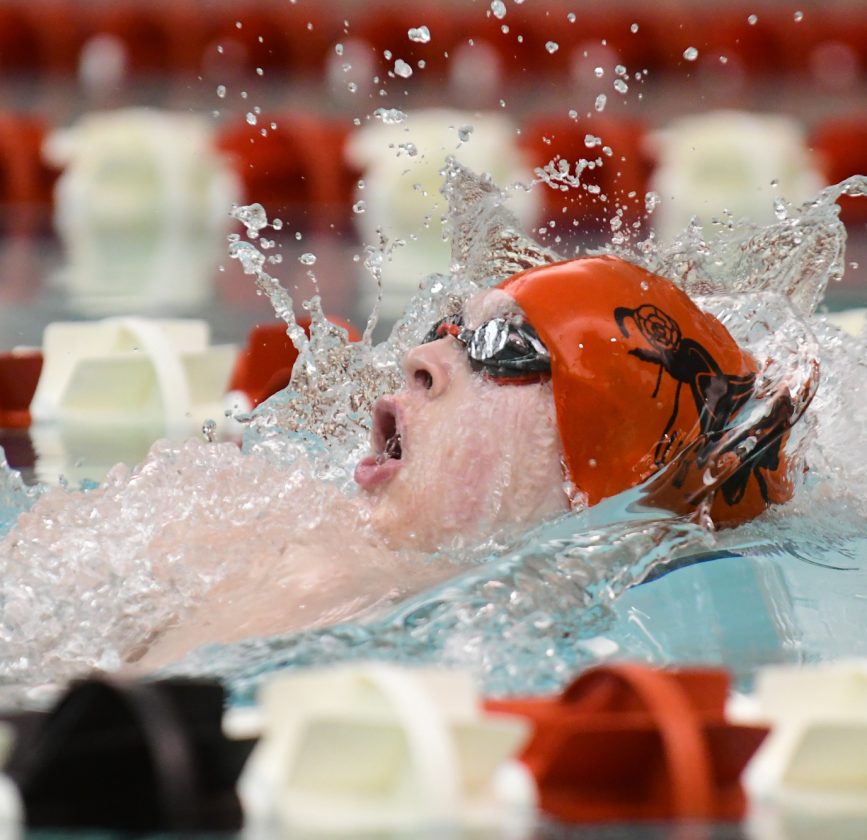 Jon Gerardi on swimming: Williamsport divers continue to improve meet ...